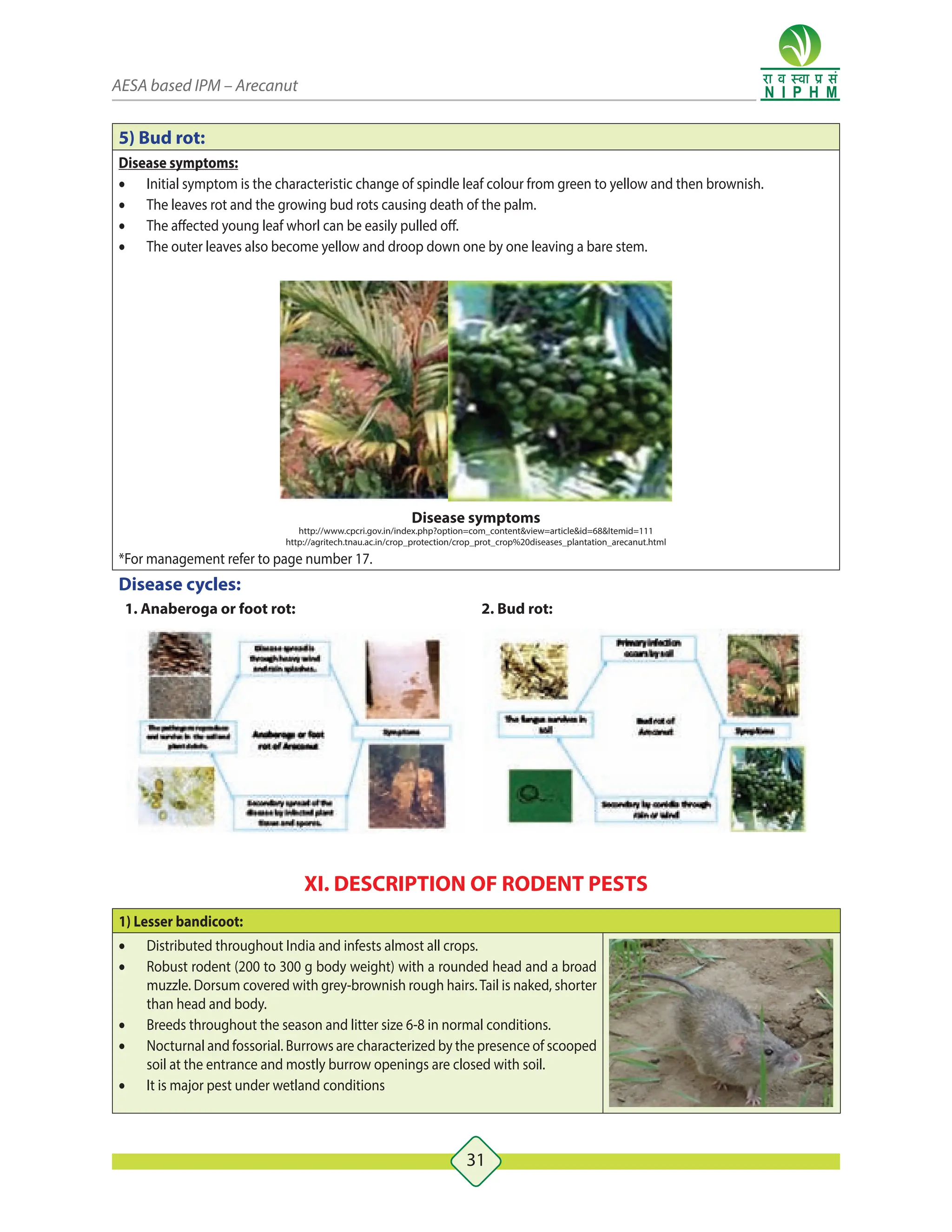 arecanut Integrated pest and disease management | PDF