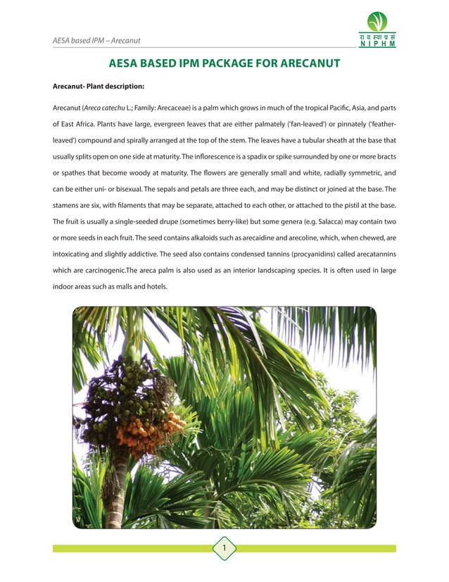 arecanut Integrated pest and disease management | PDF