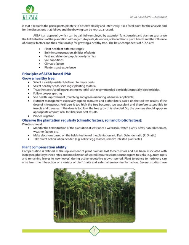arecanut Integrated pest and disease management | PDF