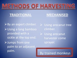 Arecanut post harvest | PPTX