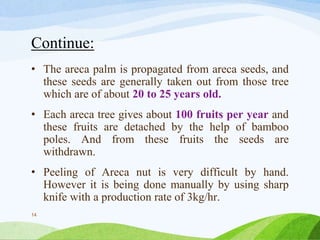 Areca nut ppt by gaurav | PPTX