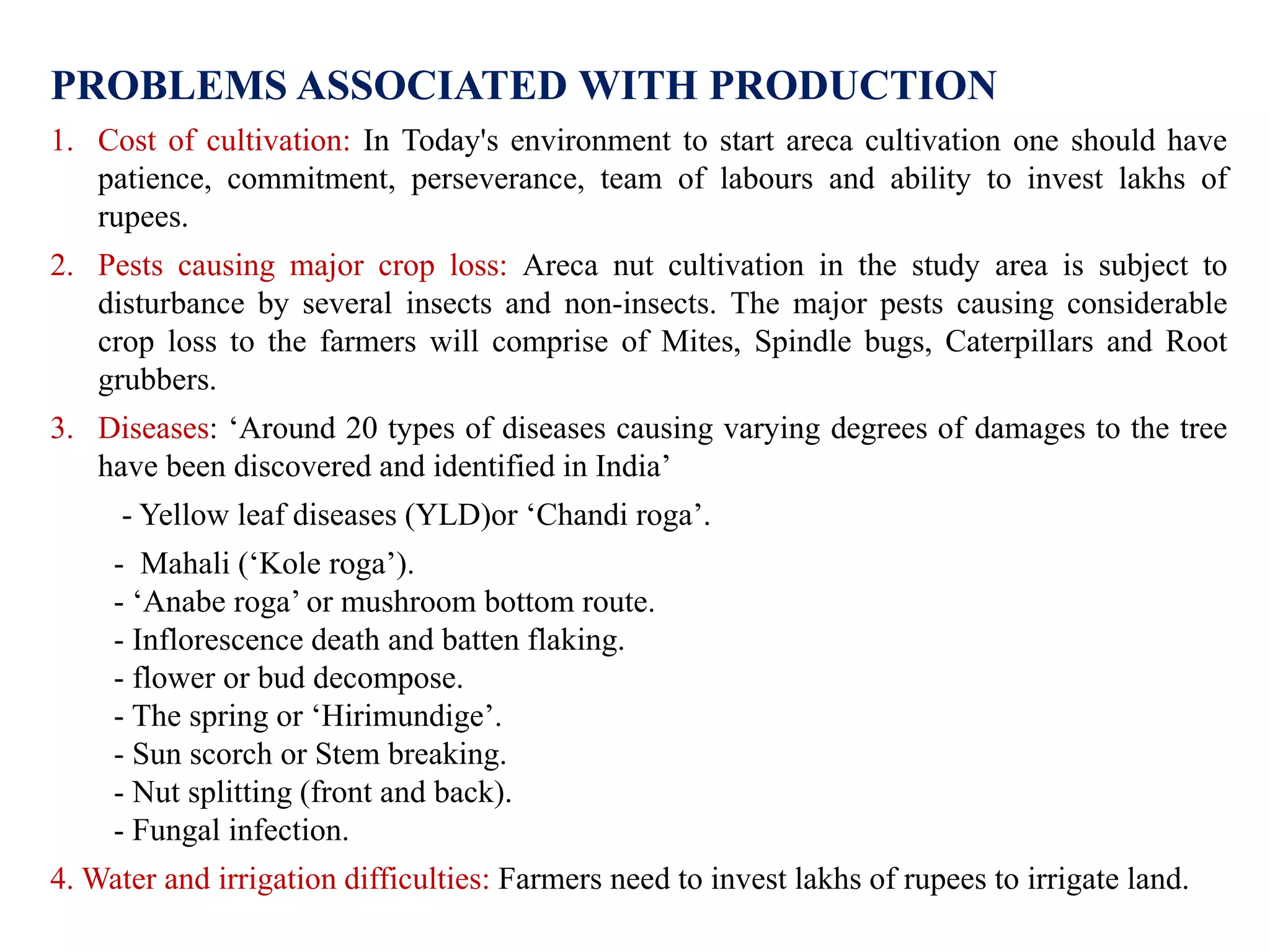 Arecanut Processing.pptx