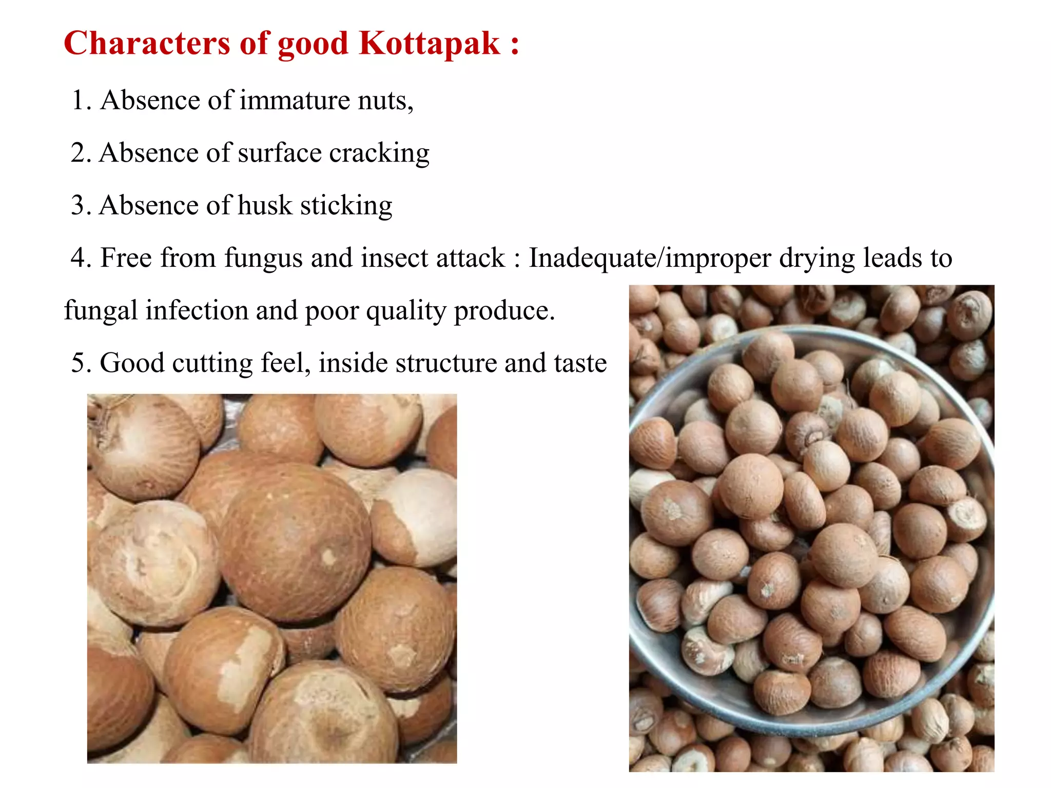 Arecanut Processing.pptx