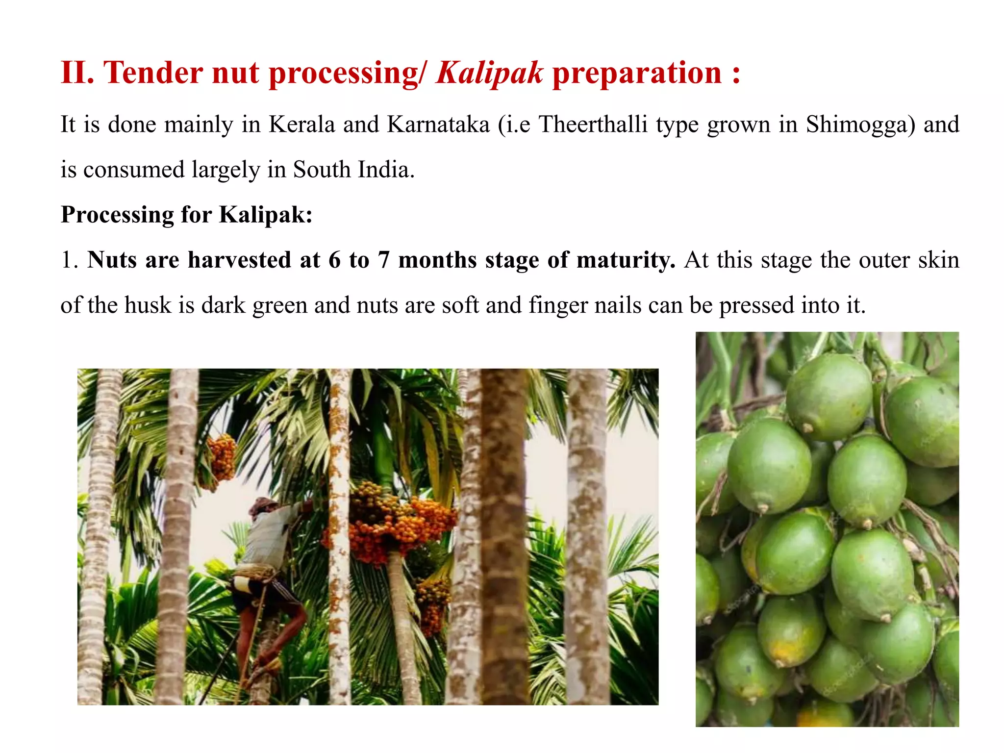 Arecanut Processing.pptx