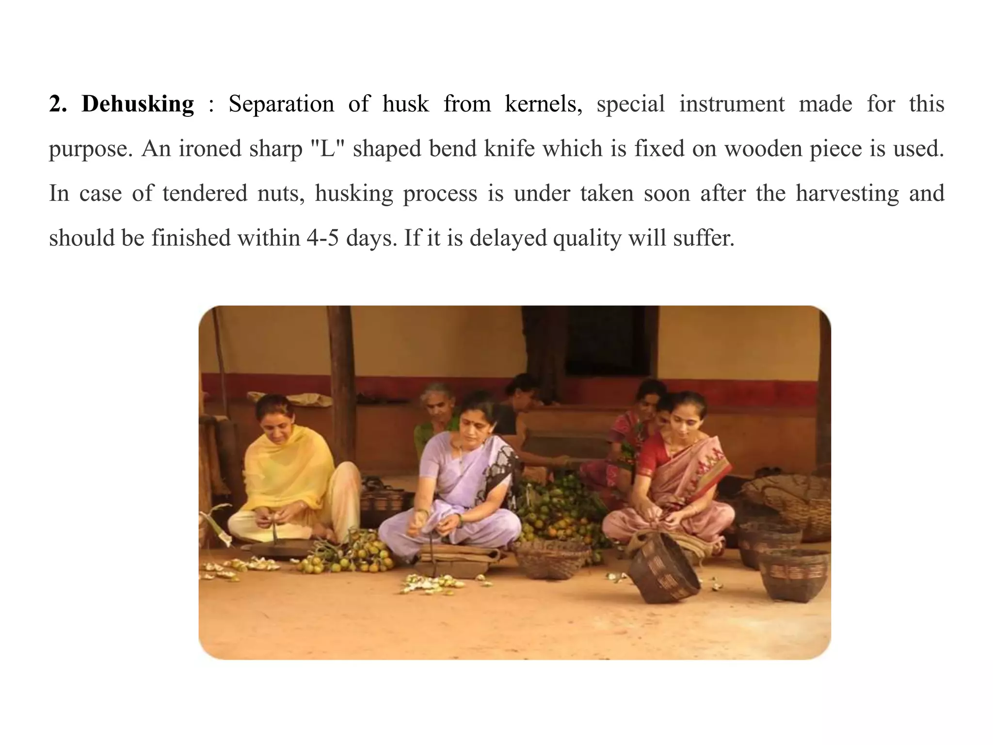 Arecanut Processing.pptx