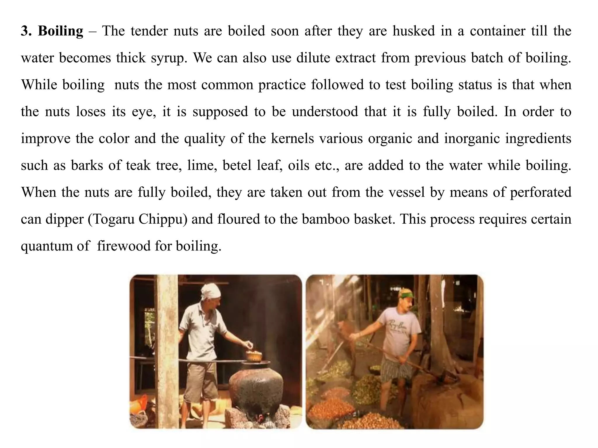 Arecanut Processing.pptx