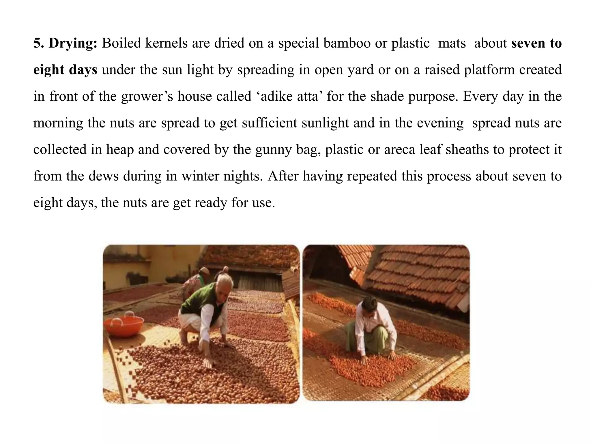 Arecanut Processing.pptx