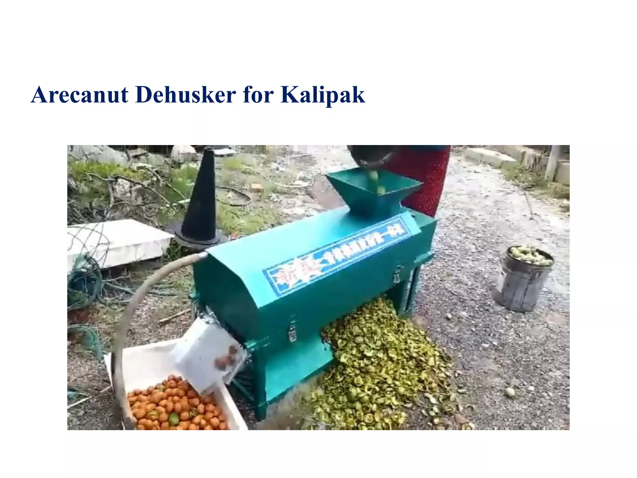 Arecanut Processing.pptx