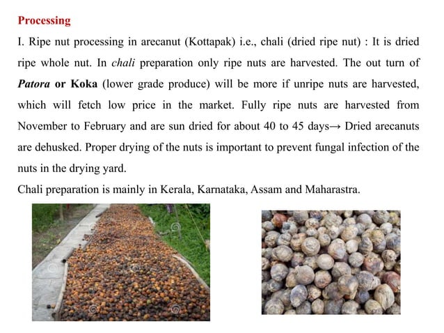 Arecanut Processing.pptx | Agriculture | Industries