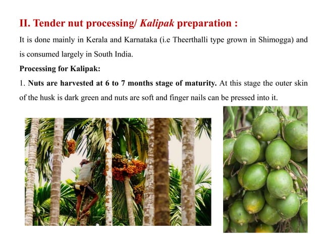 Arecanut Processing.pptx | Agriculture | Industries