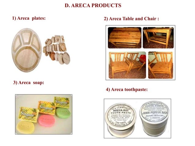 Arecanut Processing.pptx | Agriculture | Industries