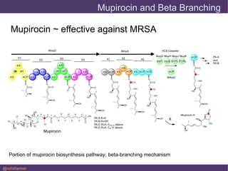 A recognition model of ACP-HCS interaction for programmed beta ...