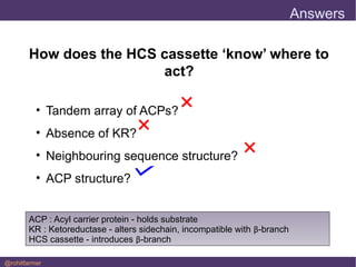 A recognition model of ACP-HCS interaction for programmed beta ...