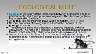 AKSHITA A R ECOLOGICAL NICHE and Gauss lawpptx | PPT