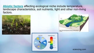 AKSHITA A R ECOLOGICAL NICHE and Gauss lawpptx | PPT