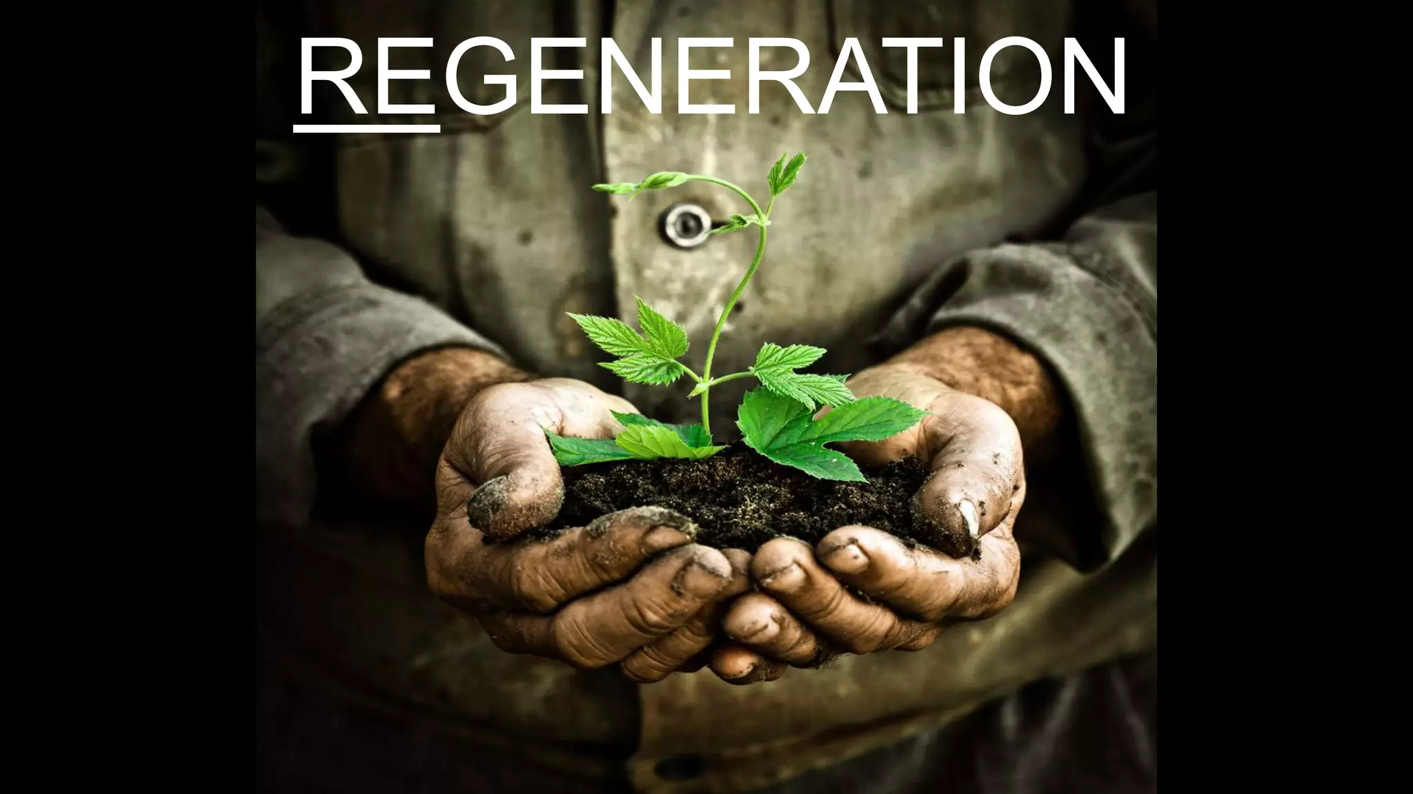 Regenerative Agriculture and Healthy Soils: The Leading Solution to ...
