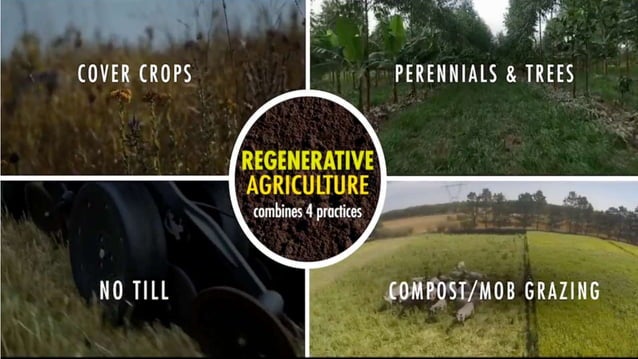 Regenerative Agriculture and Healthy Soils: The Leading Solution to ...