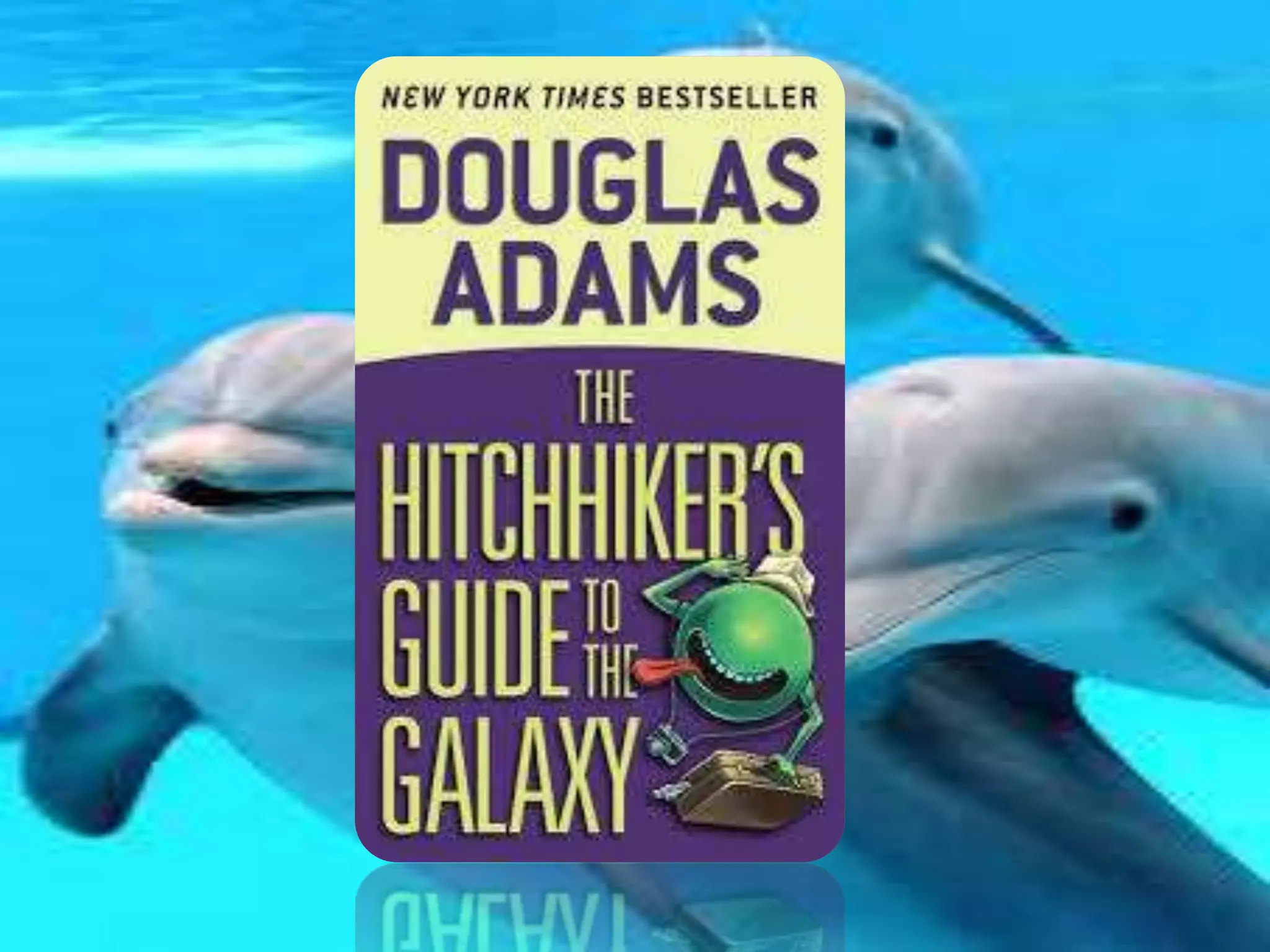 Are dolphins not as smart as we thought ? | PPT