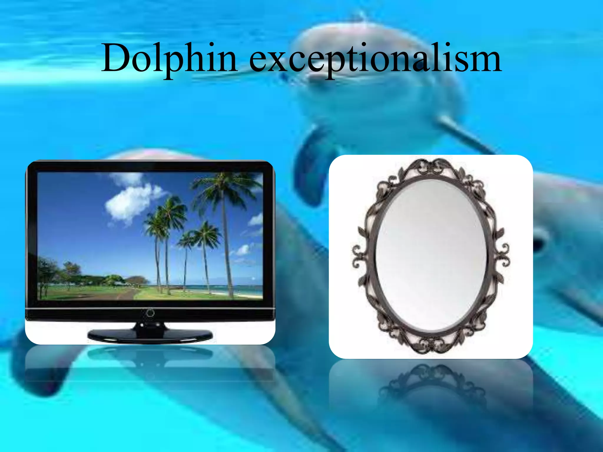 Are dolphins not as smart as we thought ? | PPT