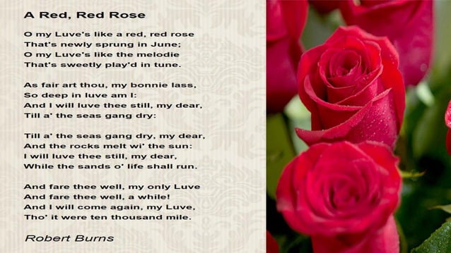 A Red, Red Rose | PDF