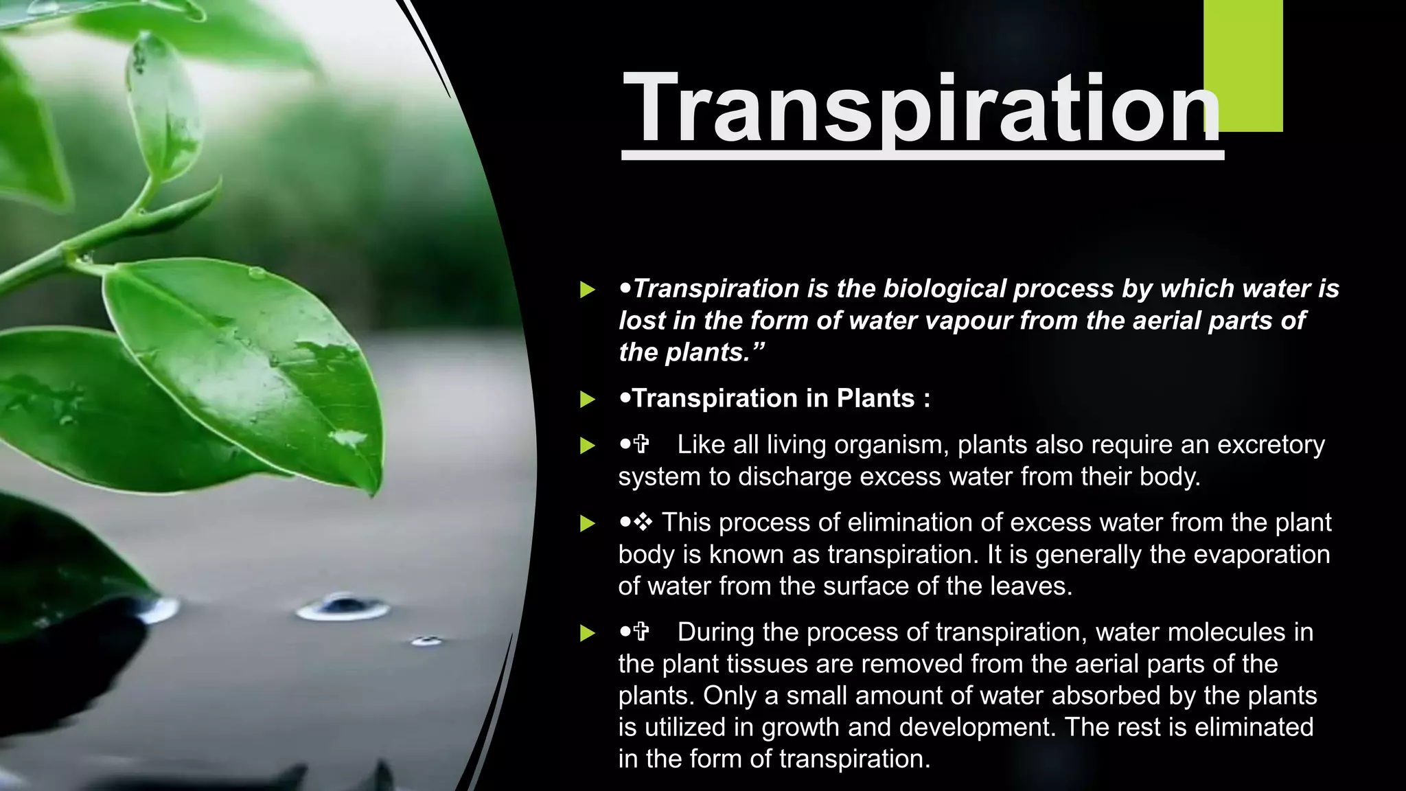 Transpiration in plants | PPTX