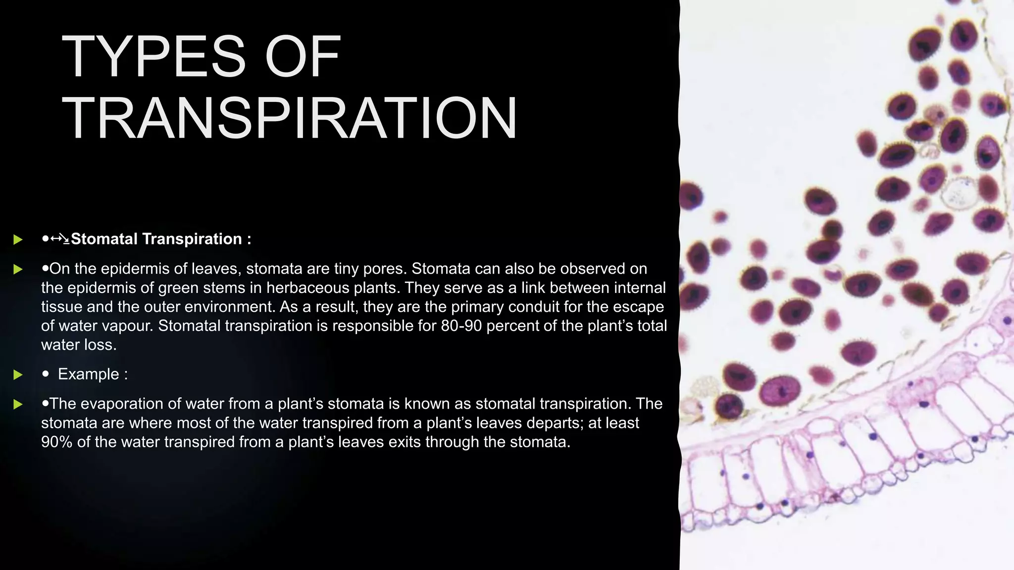 Transpiration in plants | PPTX