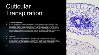Transpiration in plants | PPTX