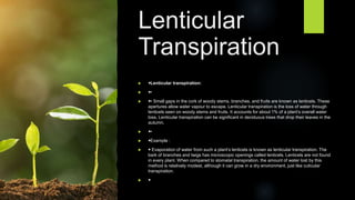 Transpiration in plants | PPTX