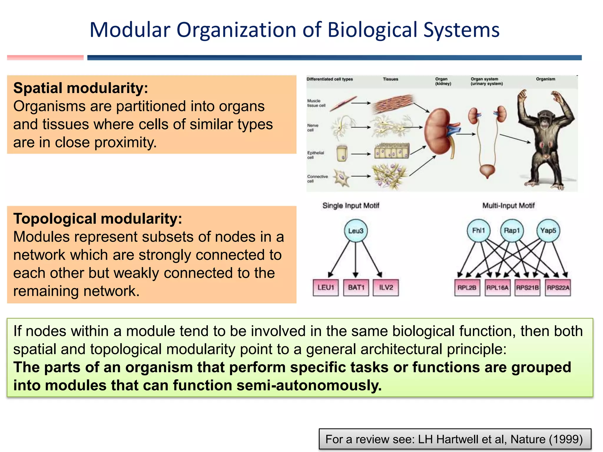 Modularity In Metabolic Networks Ppt 7554