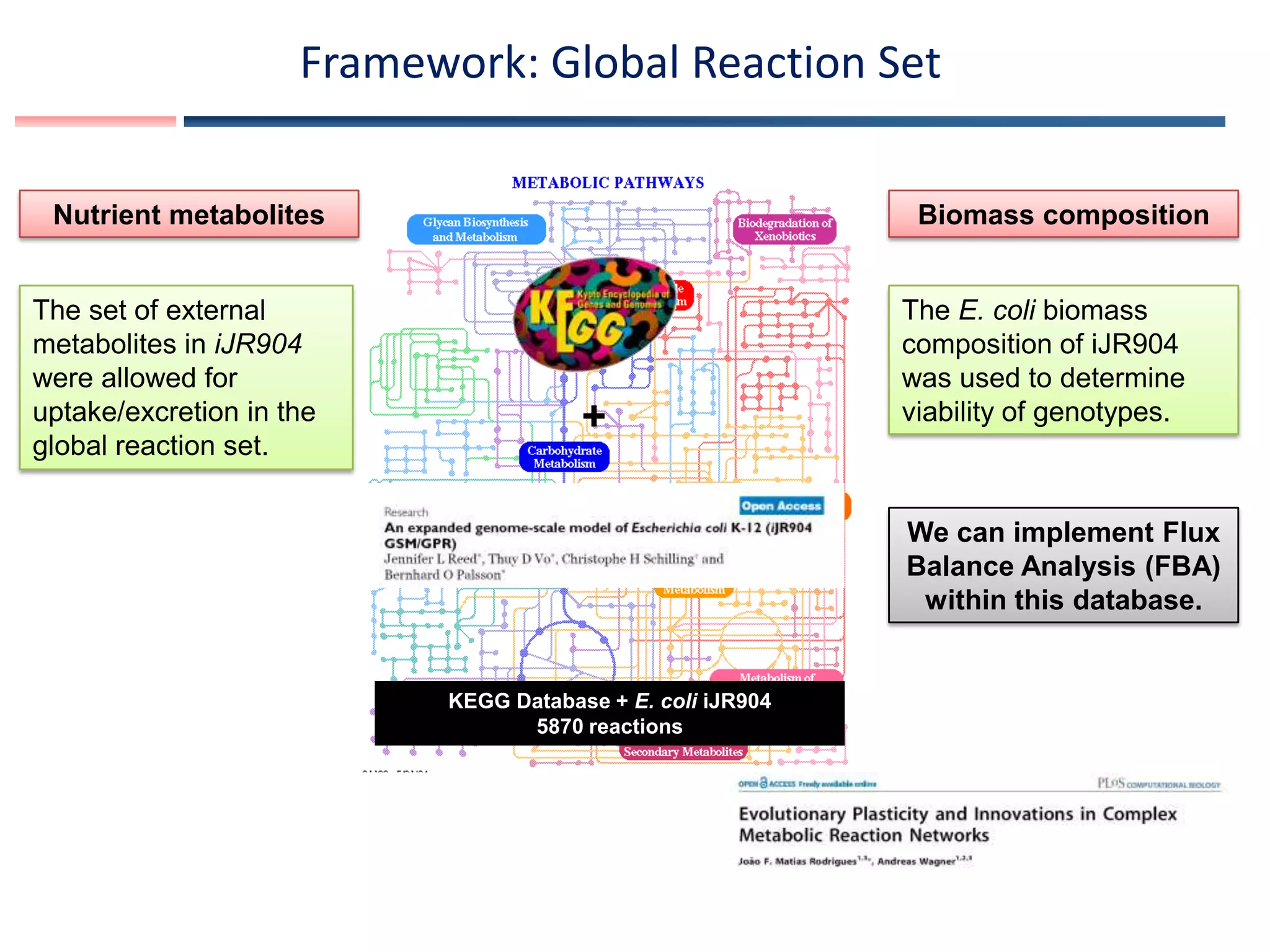 Modularity In Metabolic Networks Ppt