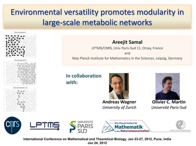 Modularity In Metabolic Networks Ppt