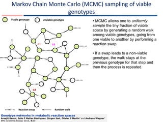 Modularity in metabolic networks | PPT