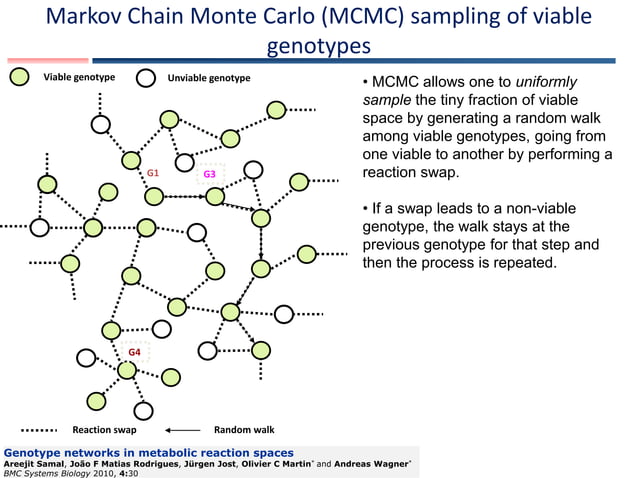 Modularity In Metabolic Networks Ppt 3817
