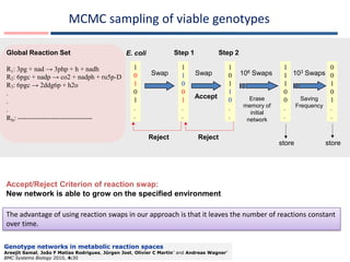 Modularity in metabolic networks | PPT