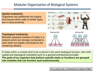 Modularity in metabolic networks | PPT