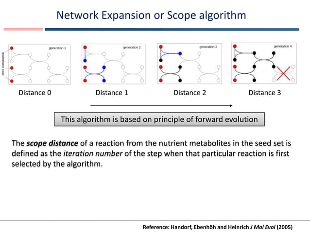 Modularity In Metabolic Networks Ppt