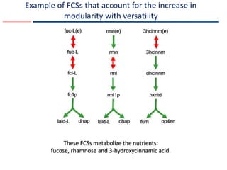 Modularity in metabolic networks | PPT