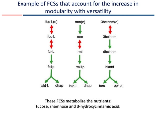 Modularity In Metabolic Networks Ppt
