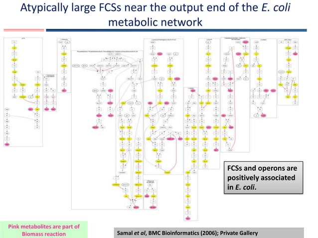 Modularity In Metabolic Networks Ppt