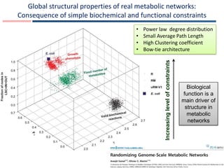 Modularity in metabolic networks | PPT