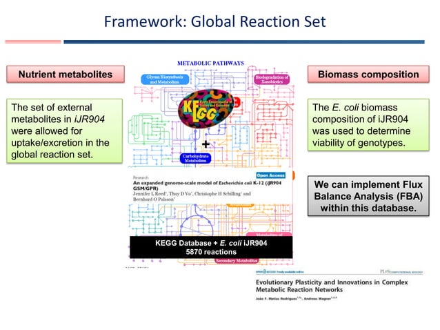 Modularity in metabolic networks | PPT
