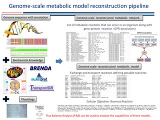 Modularity in metabolic networks | PPT