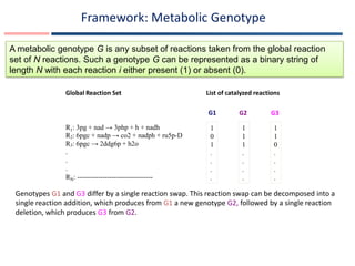 Modularity in metabolic networks | PPT