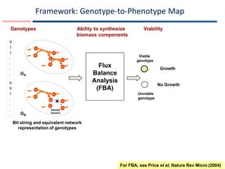 Modularity in metabolic networks | PPT