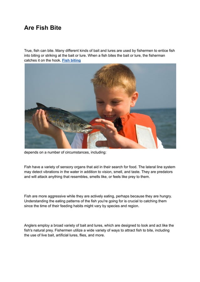 Are Fish Bite | PDF