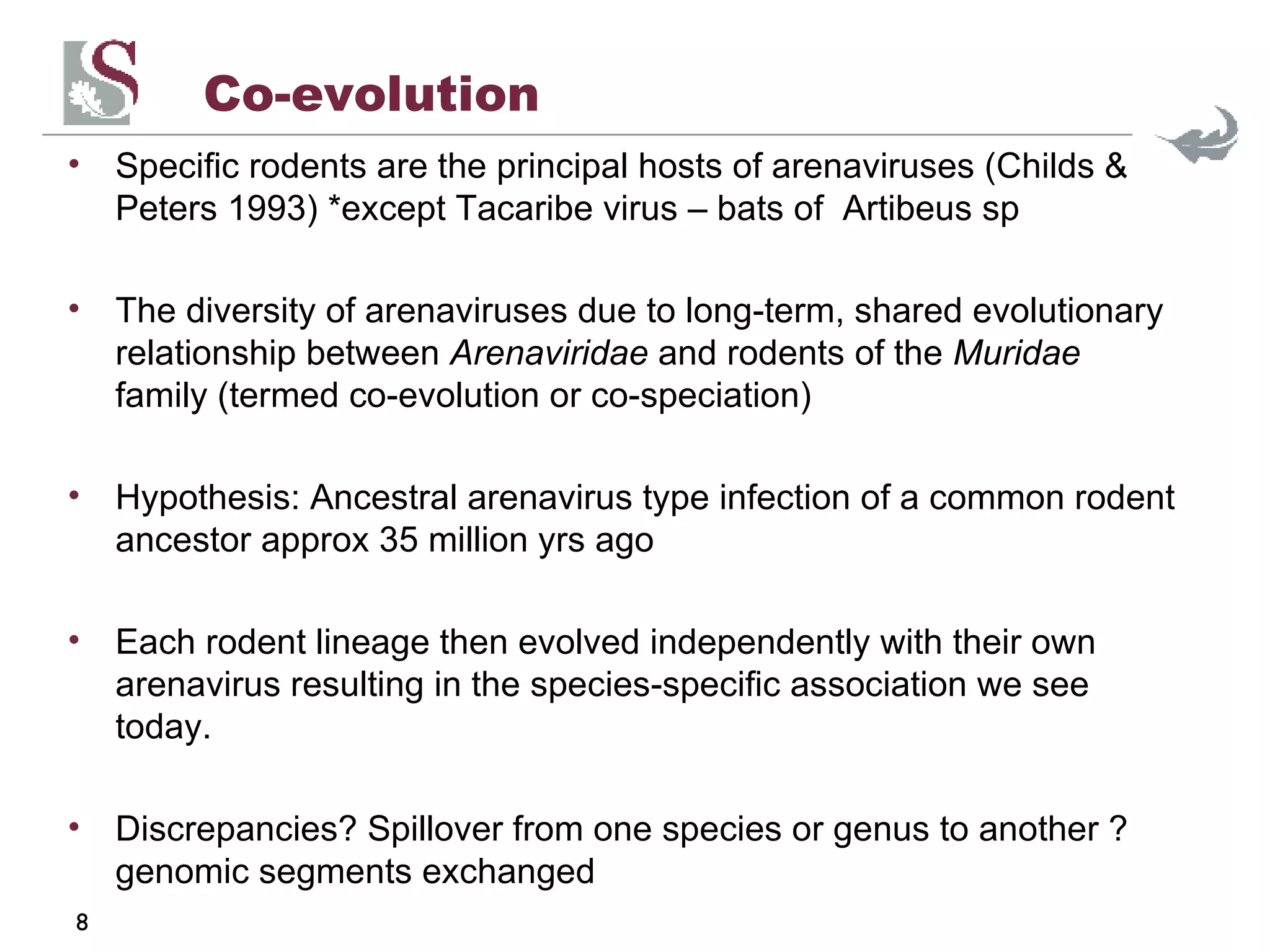 Arenaviruses | PPT