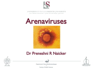 Arenaviruses | PPT