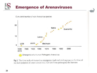 Arenaviruses | PPT