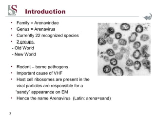 Arenaviruses | PPT