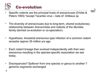 Arenaviruses | PPT